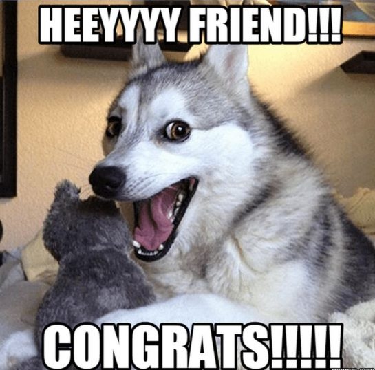 50+ Hilarious Congratulations Memes to Celebrate Success in Funny Way