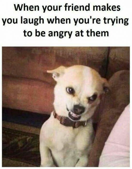 50+ Angry Memes That Can Help You Laugh Away Your Anger