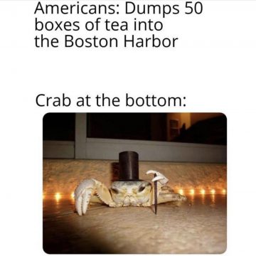 50+ Hilarious Tea Memes Only A True Tea Addict Can Relate