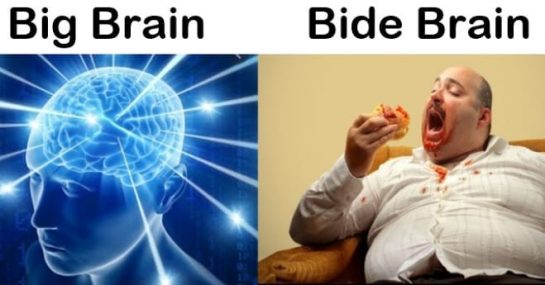 50+ Big Brain Memes That Will Make You Laugh Out Loud