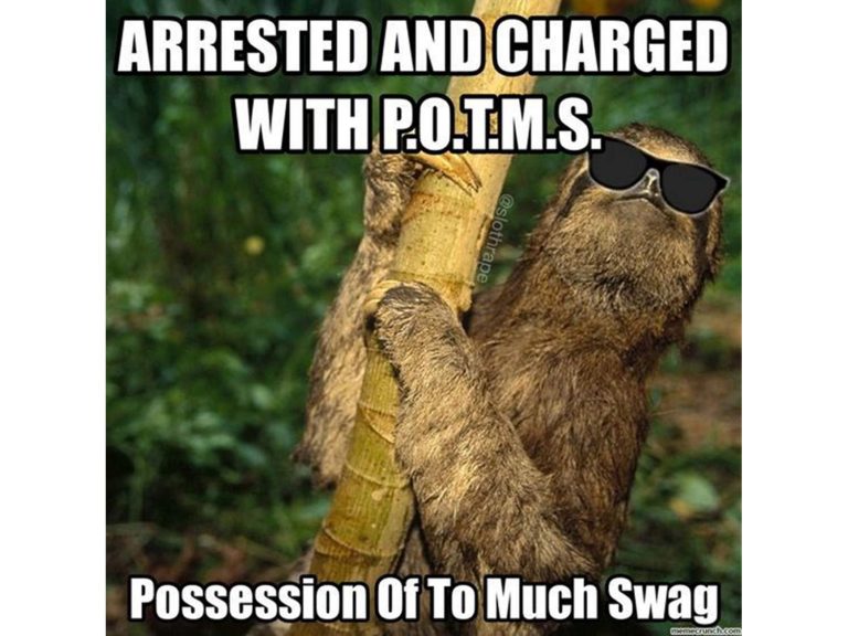50+ Hilarious Sloth Memes To Brighten Your Day