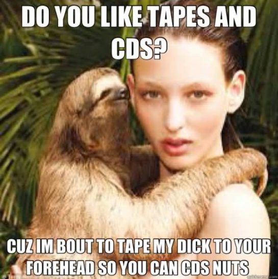 50+ Hilarious Sloth Memes To Brighten Your Day