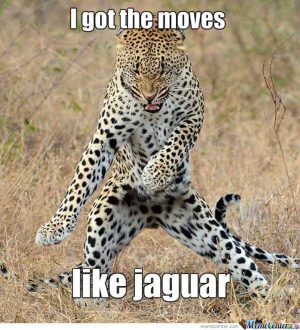 50+ Funny Happy Dance Memes That Will Put A Smile On Your Face