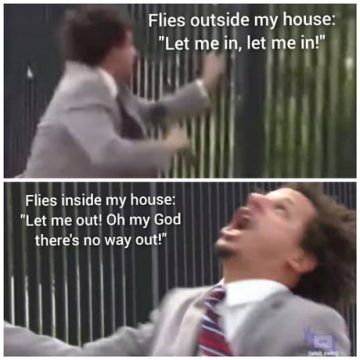 50+ Funniest Collection Of Let Me In Memes That Will Make You Laugh