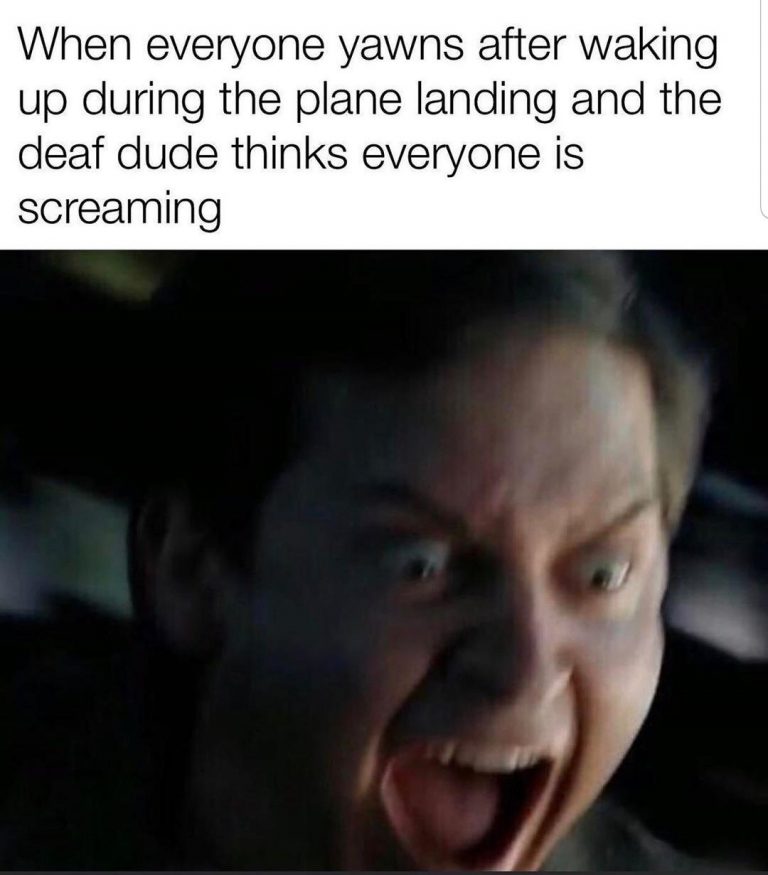 50+ Screaming Memes Are As Funny As They Are Bizarre