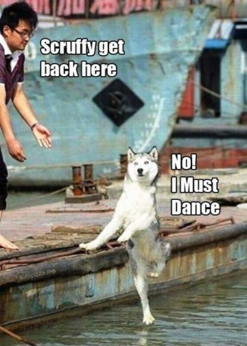 50+ Funny Dancing Memes That Will Make You Happy
