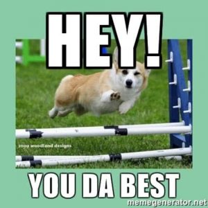 50+ Funny You Are The Best Memes To Show Appreciation For A Person