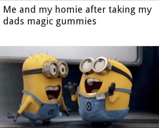 50+ Adorable Minion Memes That Will Make You Laugh Out Loud