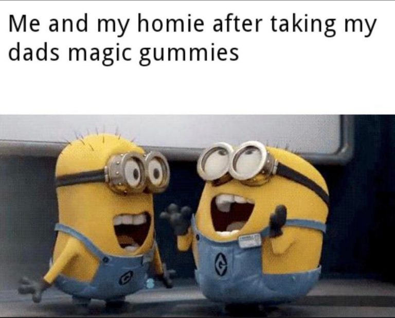 50+ Adorable Minion Memes That Will Make You Laugh Out Loud