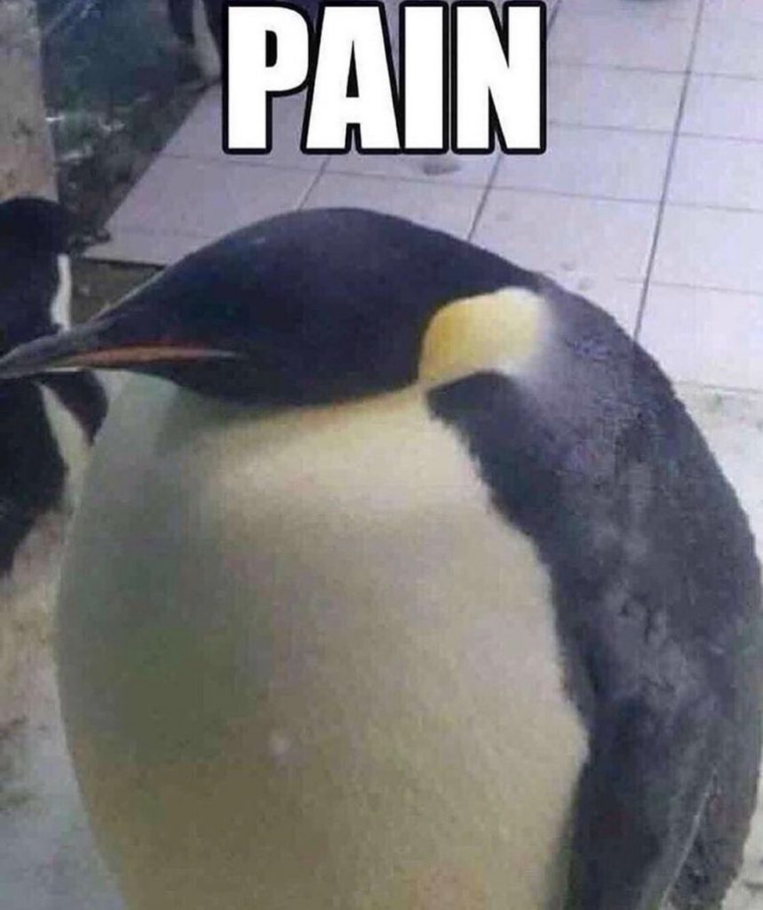 50+ Pain Memes That Nail What It's Like to Be in That Situation