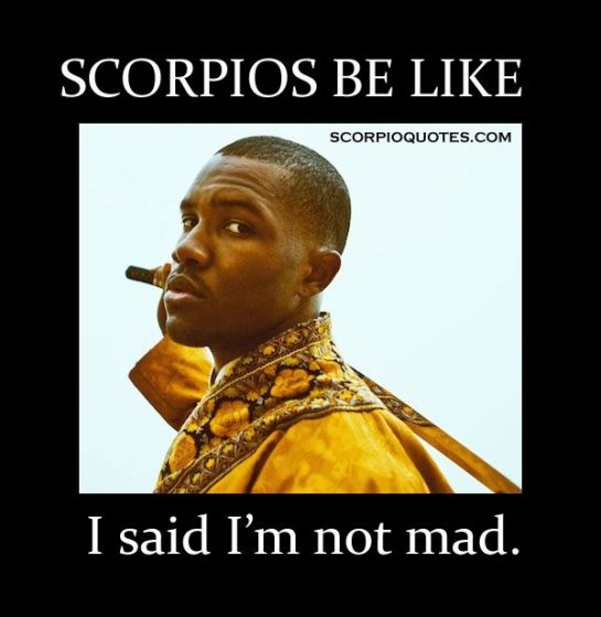 50+ Funny Scorpio Memes That Are Painfully Accurate