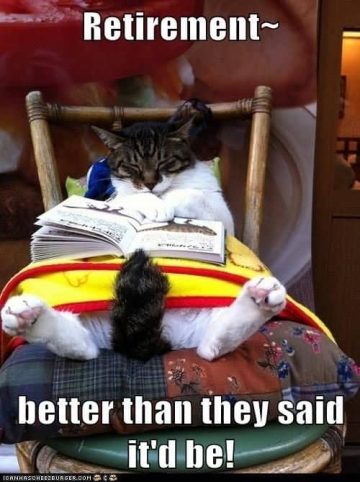 50+ Funniest Retirement Memes That Will Make You Laugh