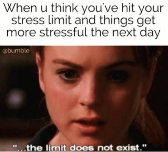 50+ Funny Stress Memes That Will Make You Laugh