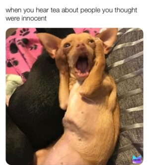 50+ Funny Surprise Memes for Your Friends and Family